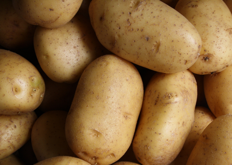 Portal Ekko Green - Tudo Sobre Sustentabilidade