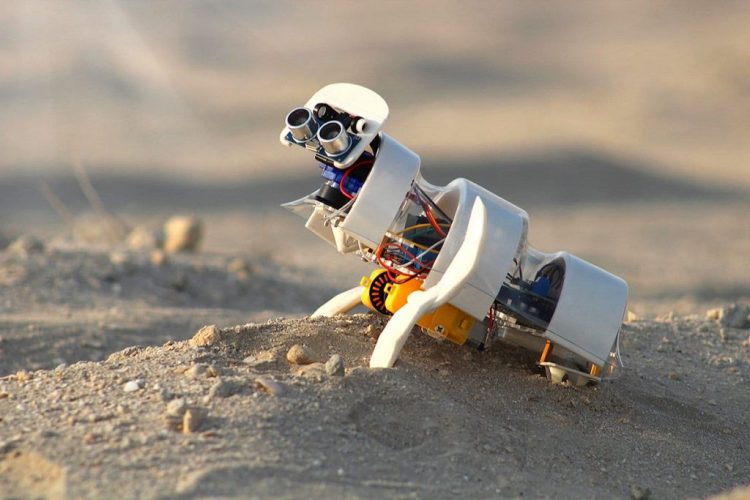 Mini Robô Percorre Deserto Plantando Sementes